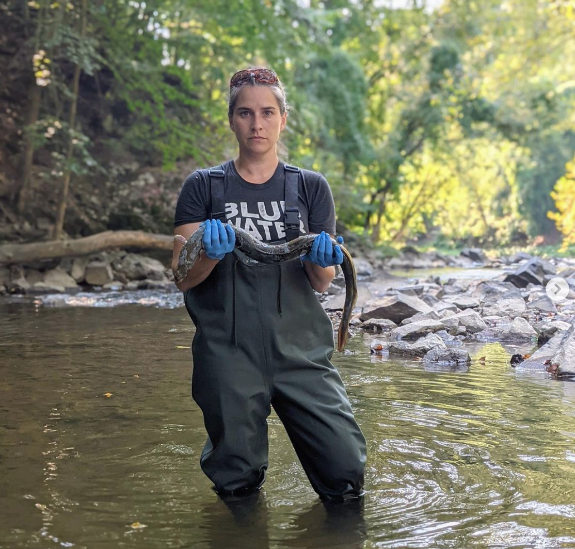 A Resident’s Pollution Report Leads to Quick Action by Baltimore Harbor ...