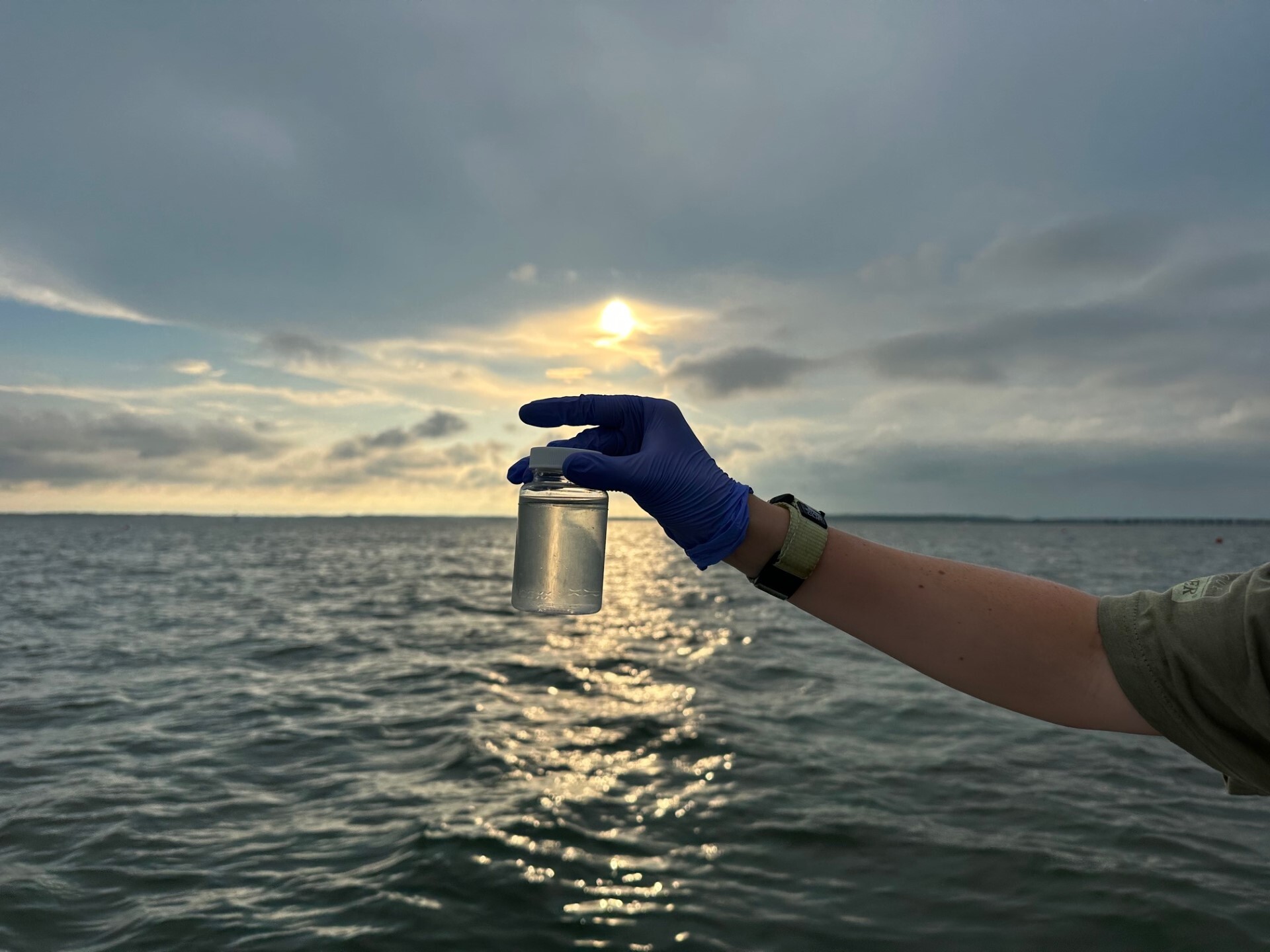A Year in Water Quality Monitoring with Your Local Waterkeepers ...