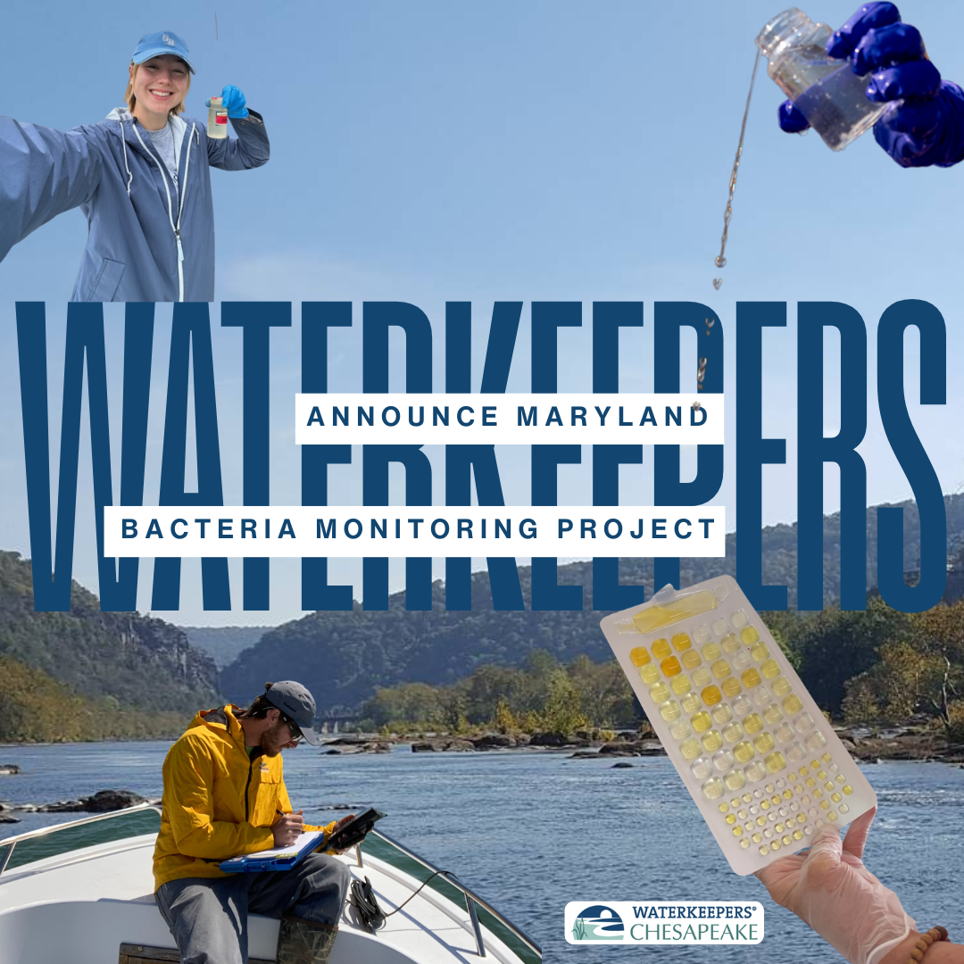 Waterkeepers Join Forces to Improve Bacteria Monitoring in Maryland ...